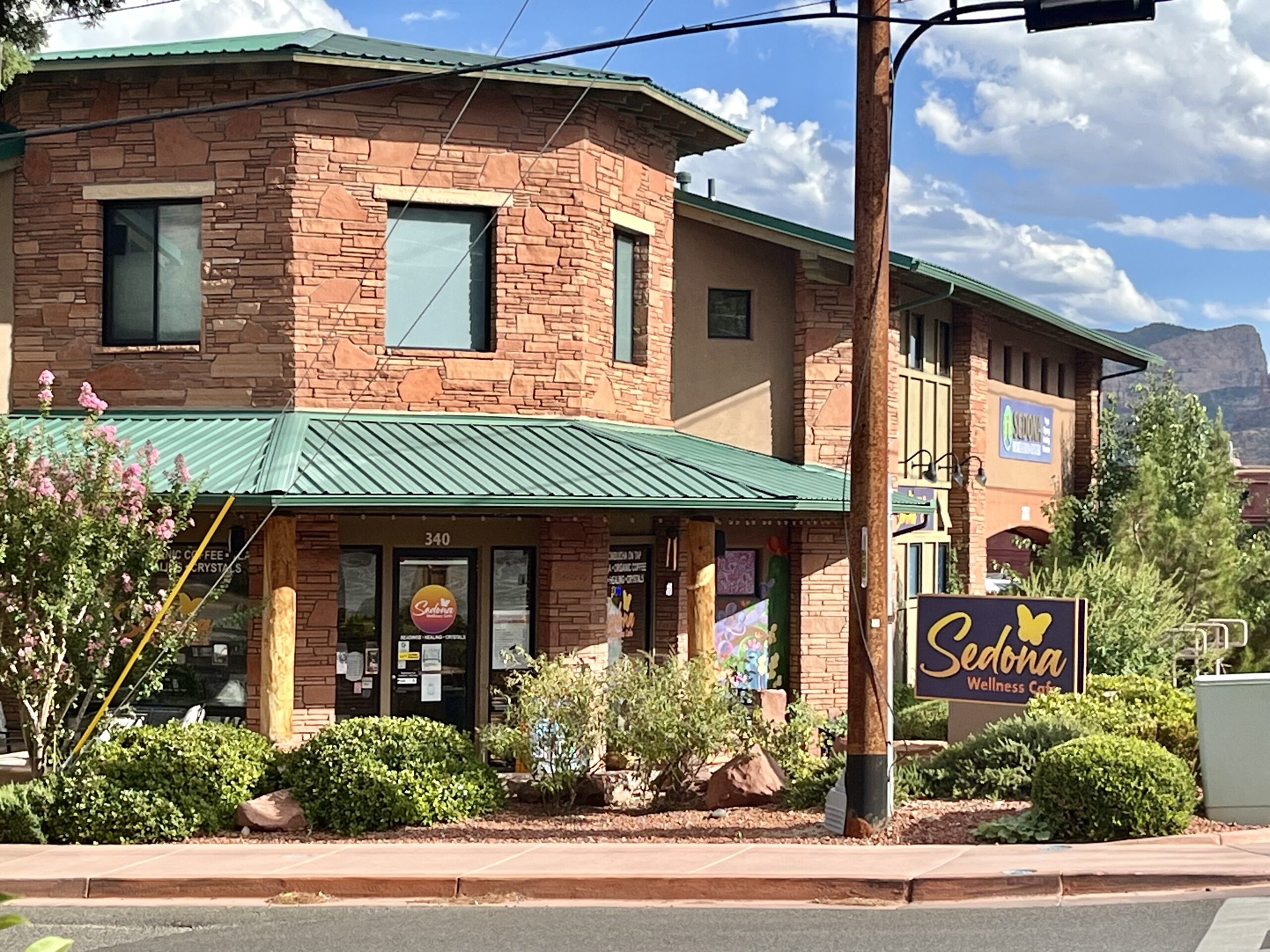 TDP Encore & An Update on 'Brain Yoga' (aka My First Cult) - The Deeper Pulse